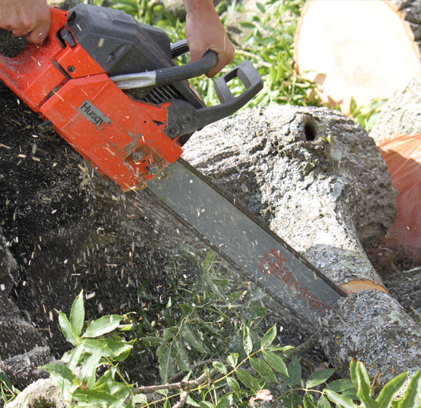 Tibbs Tree Surgeons South West Tree Surgeons